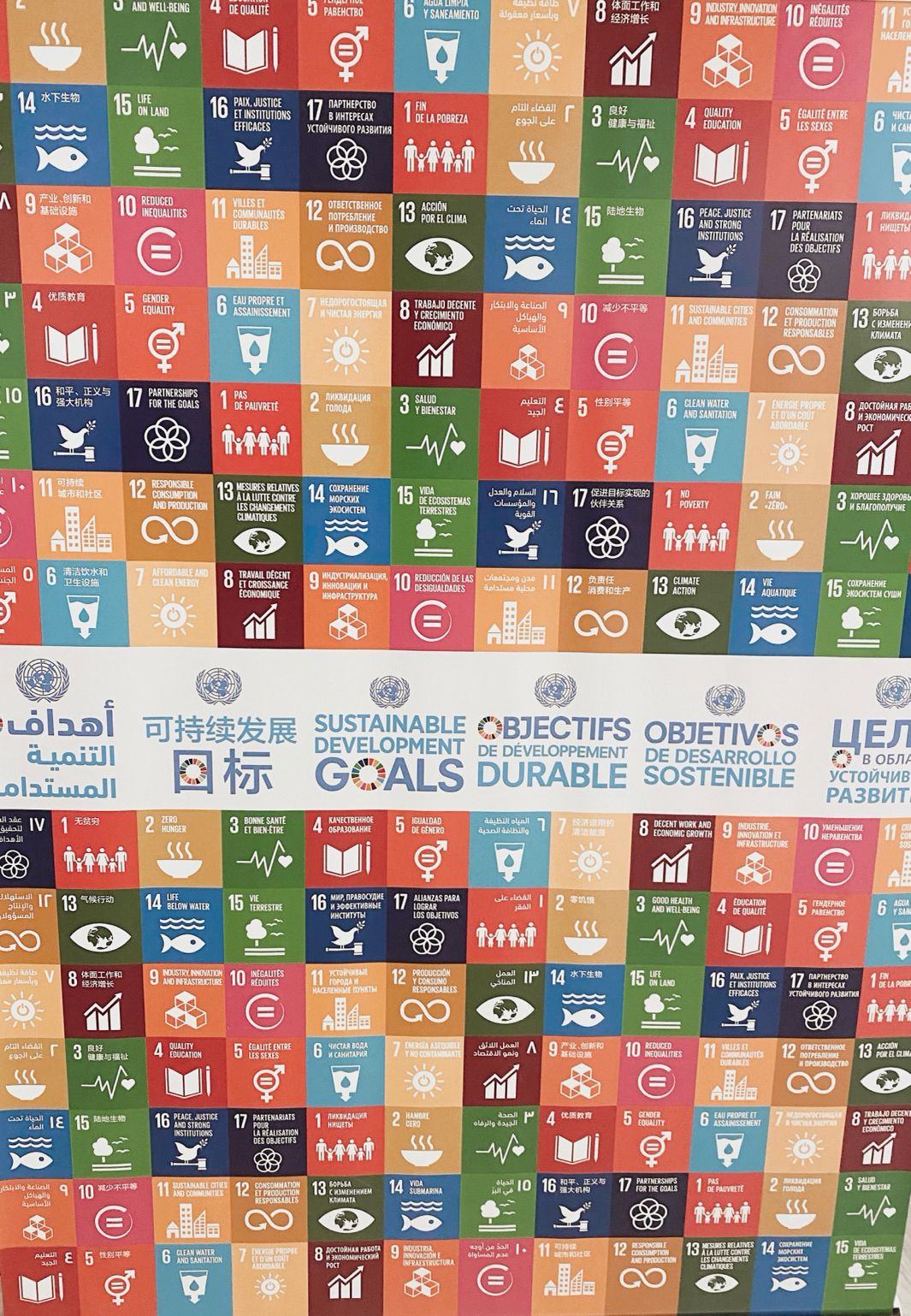 Mission Impact visits United Nations